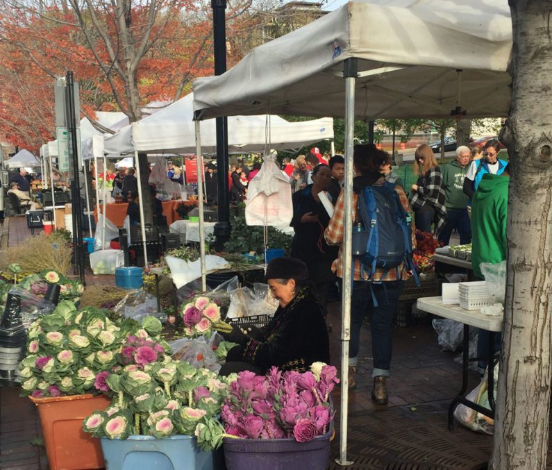 Sub-Zero & Wolf Factory Tour - Appliances - Refrigeration - Ranges